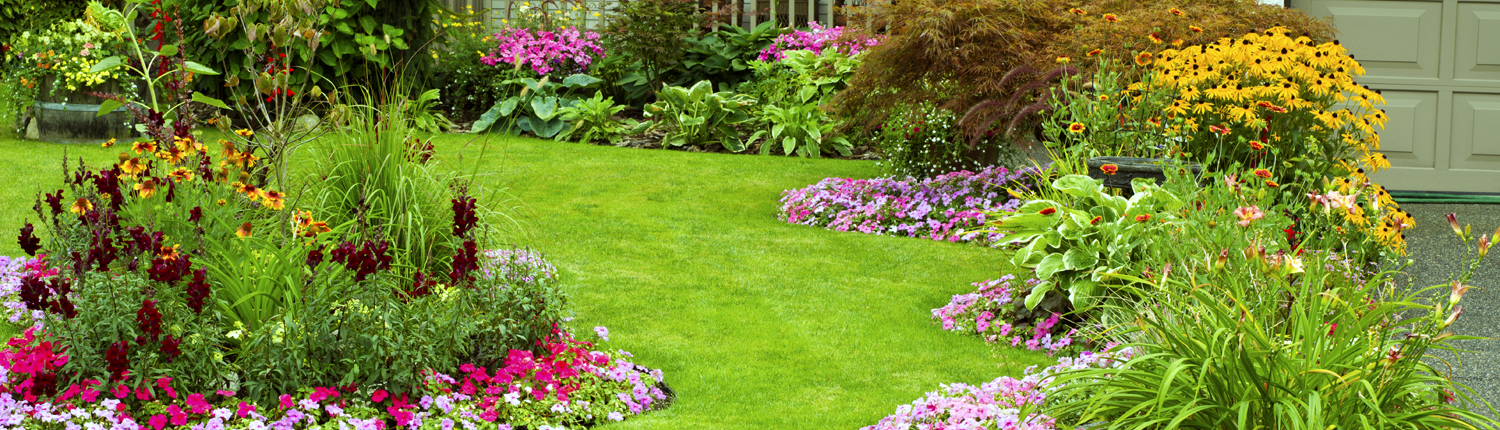 Home - A Cut Above Lawncare